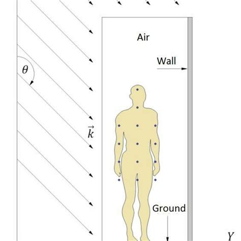 Human Exposure Setup For The Investigation Of The Spatial Averaging
