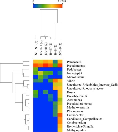 A Heatmap Of The Number Of Reads Of The Bacteria That Resulted Download Scientific Diagram
