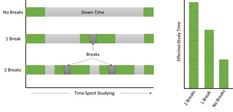 The Science Of Effective Usmle Test Preparation