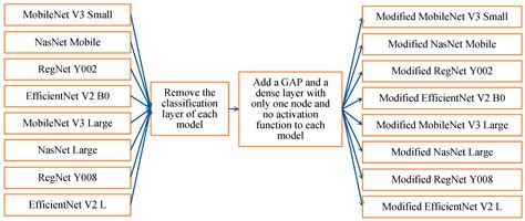 buckwheat plant height estimation based on stereo vision and a regression convolutional neural
