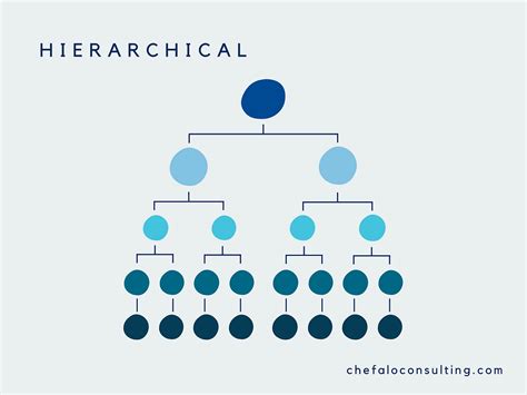 Types Of Organizational Structures