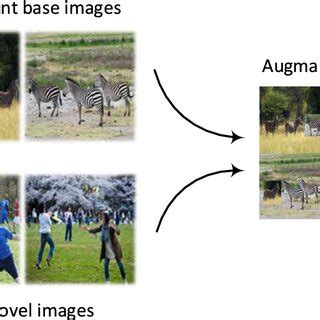 An Example Of Domain Aware Data Augmentation Based On Cross Image
