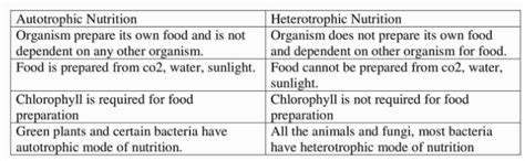 What Are The Differences Between Autotrophic Nutrition And Heterotroph