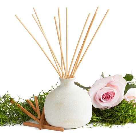 Romance Ceramic Refillable Diffuser Oakmoss And Sandalwood Blueme