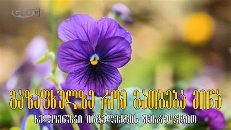 გაზაფხულზე რომ გათბება მიწა სიმღერა ხელოვნური ინტელექტის შესრულებით