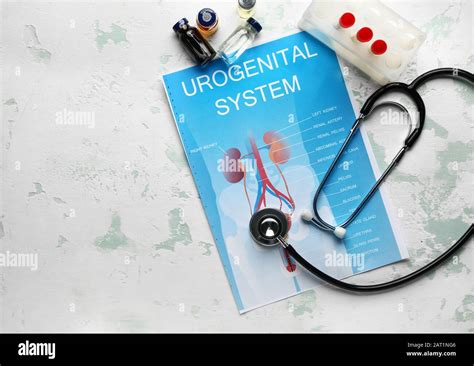 Paper Sheet With Picture Of Urogenital System Medicines And