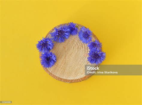 천연 제품의 프리젠 테이션을위한 노란색 배경에 푸른 옥수수 꽃이있는 나무 연단 0명에 대한 스톡 사진 및 기타 이미지 0명 강단 개념 Istock