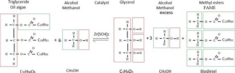 Transesterification Reaction Triglyceride Plus Alcohol In The Presence Download Scientific