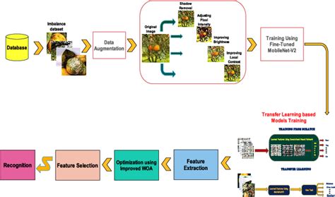Figure 1 From A Single Stream Modified Mobilenet V2 And Whale Controlled Entropy Based