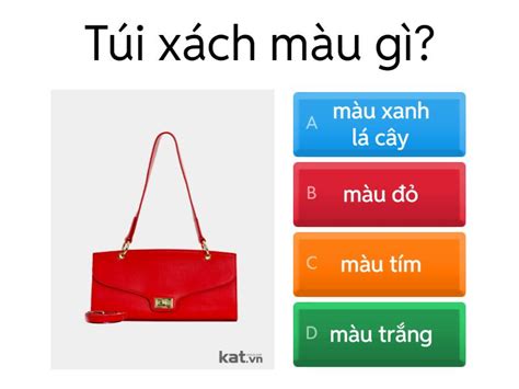 Color Vocab Game Quiz