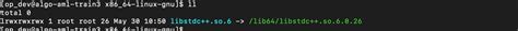 docker 启动paddle gpu的容器GLIBCXX 3 4 22 not find但是宿主机上明明已经有了啊