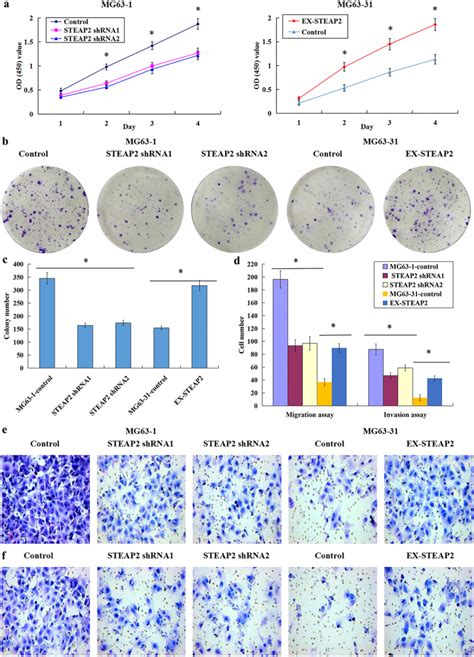 Steap2 Promotes Osteosarcoma Progression By Inducing Epithelial Mesenchymal Transition Via The