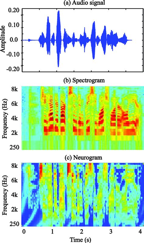 Illustration Of The Difference Between The Spectrogram Vs Neurogram