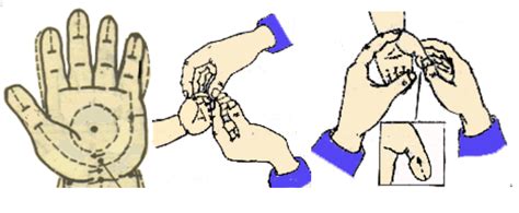 Acupoint Massage（一） Regimen Motion