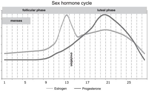 A Plasma Oestrogen And Progesterone Levels During A 28 Day Cycle In Download Scientific