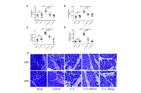 Mogroside Ii E Inhibits Trypsin In Ap Mice Female C57bl6 Mice Were