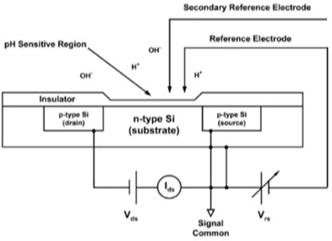 An Evaluation Of The Performance Of An Isfet Ph Sensor In A Dynamic