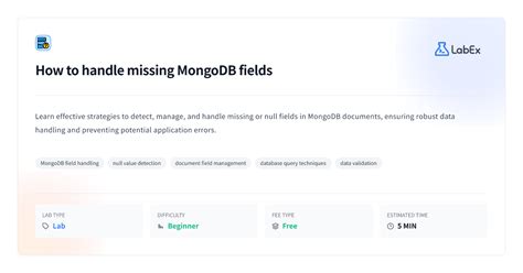 How To Handle Missing Mongodb Fields Labex
