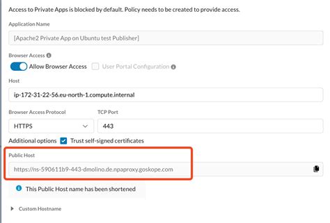 Custom Hostname Configuration For Netskope Browser Access Community