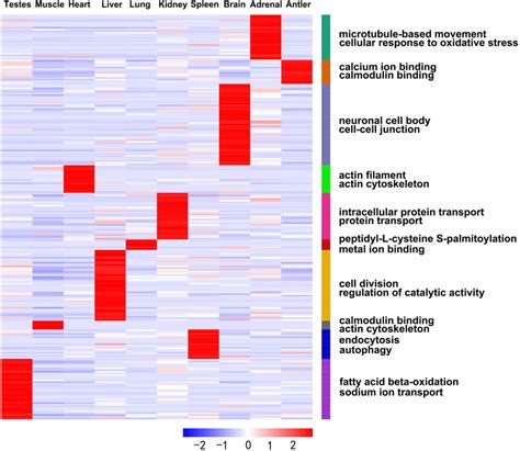 Figure 1 From The Combination Of Smrt Sequencing And Illumina