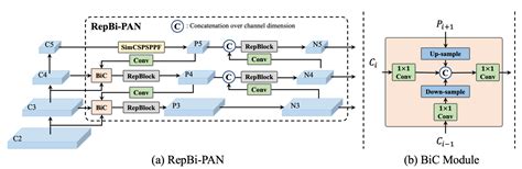 The Neck Of Yolov N And S Issue Meituan Yolov Github