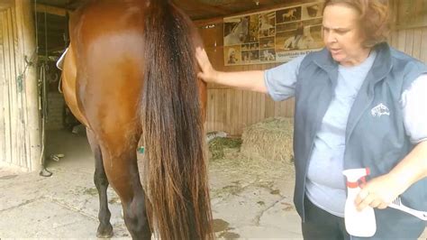 Velhas Dando O Rabo Fdplearn