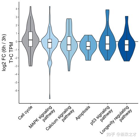 Kegg 聚类分析加绘图（简单小提琴图箱图组合图和蜂窝图） 知乎