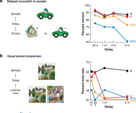 Figure 1 From The Medial Temporal Lobe And Recognition Memory