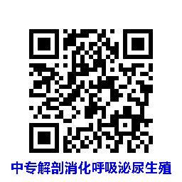解剖生理学网络课程 解剖生理学网络课程