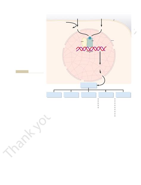 Thyroid Metabolic Hormones Pdf Endocrinology And Reproduction