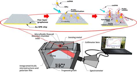 Experimental Configuration Of Dna Hybridization On A Graphene Based Spr
