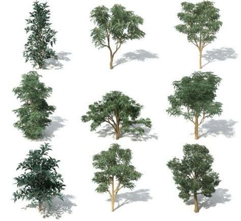 Revit 3d Rpc Tree Families Samples Library Free Download Revit