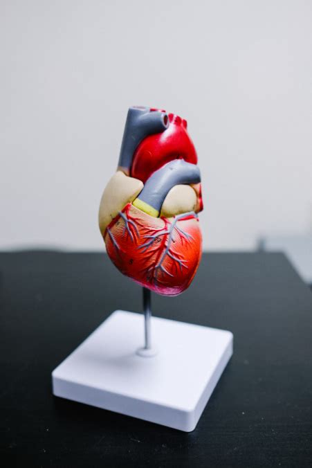 The Rising Threat Of Hypertension Prevention And Control The Rx Helper