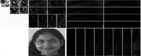 Four Levels Contourlet Decomposition Support Vector Machinein Machine