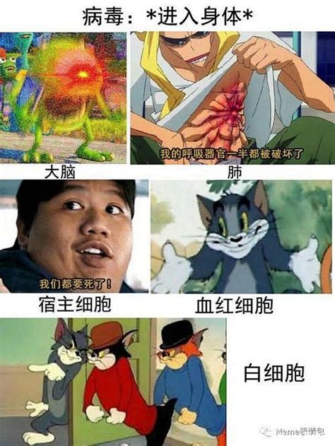 meme 百度图片搜索
