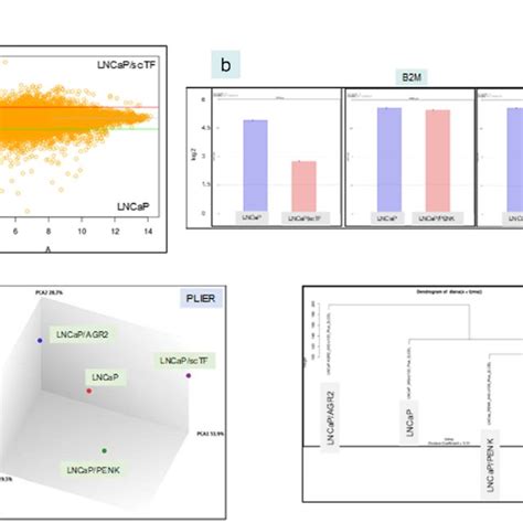 Dna Microarray Data Analysis A Expression Difference Between Lncap