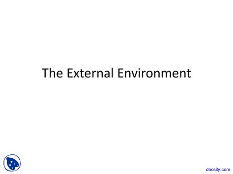 External Environment Principles Of Management Lecture Slides Docsity