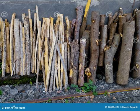 Wood Sticks Lean Against Concrete Wall Stock Image Image Of Tree