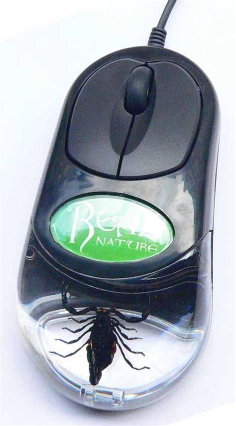 Novel Real Insect Computer Mouse Cmi Real Nature China Manufacturer Mouse And Keyboard