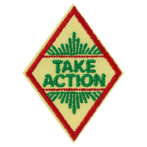 Cadette Take Action Badge Girl Scouts Of Middle Tennesee