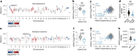 Collateral Synthetic Lethality Between Hdac1 And Hdac2 A Correlations Download Scientific