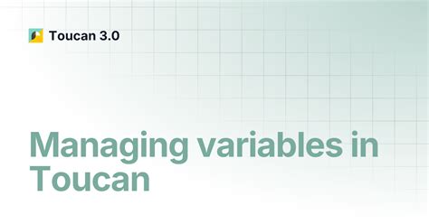 Managing Variables In Toucan Toucan 30