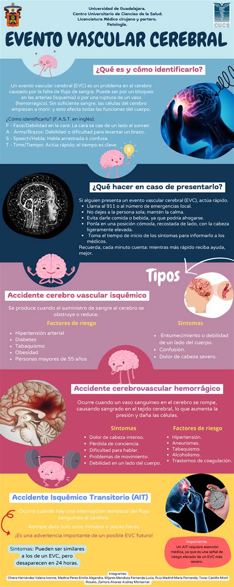 Infografía Evc Evento Vascular Cerebral Tipos Ocurre Cuando Hay Una