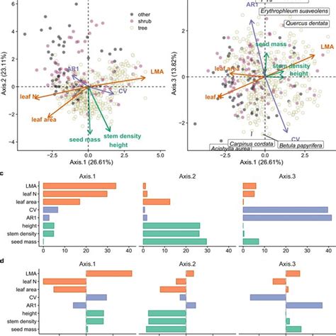 Masting Metrics Coefficient Of Variation Cv And Lag 1 Temporal Download Scientific Diagram
