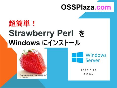 超簡単 Strawberry Perlをwindowsにインストール Pdf Programming Languages Computing