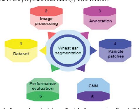 Figure 1 From A Symbiosis With Panicle Seg Based Cnn For Count The Number Of Wheat Ears