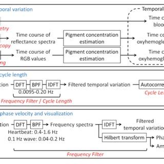 Flow Chart Of The Analysis Framed Rectangles Represent Data