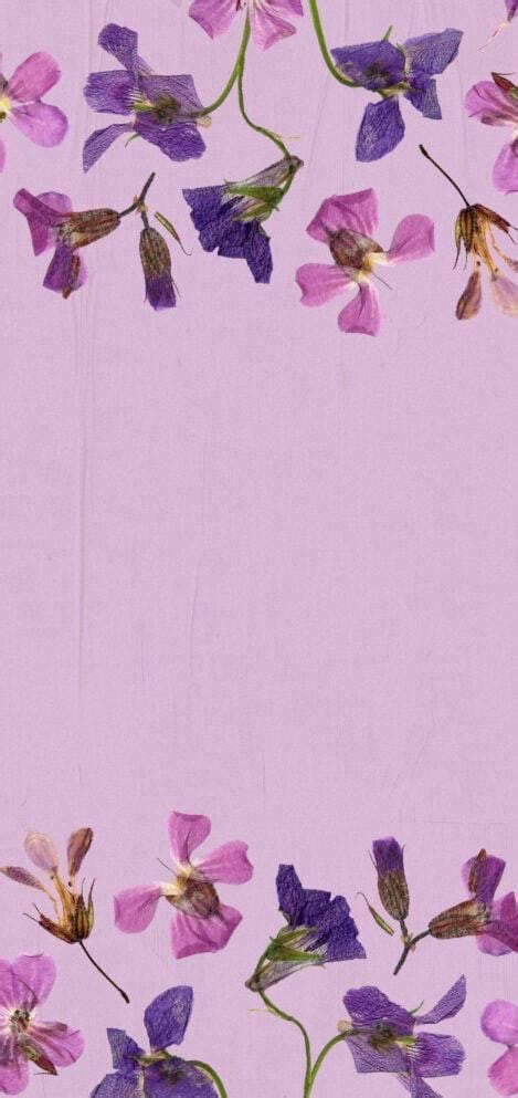 Download Aesthetic Purple Flower Wallpaper