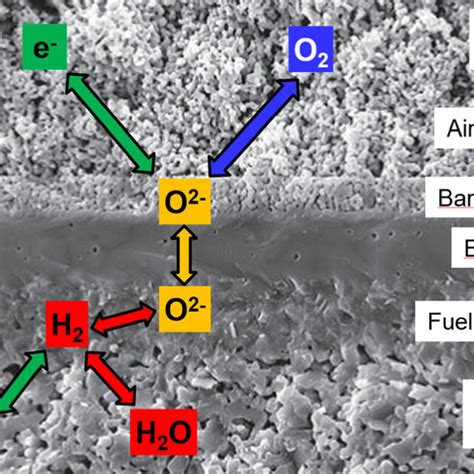 Cross Section Of A High Temperature Solid Oxide Cell With H2 H2o Redox