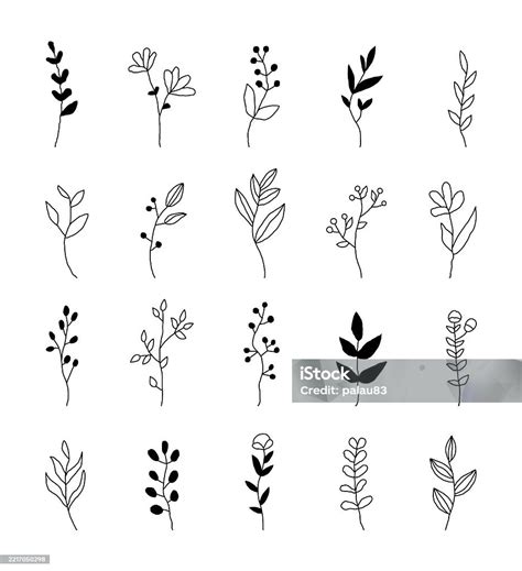 나뭇 가지 세트 식물 라인 아트 손으로 그린 가지 유기적 인 장식과 창의적인 자연에서 영감을받은 디자인 프로젝트의 자연스러운 꽃 요소 0명에 대한 스톡 벡터 아트 및 기타